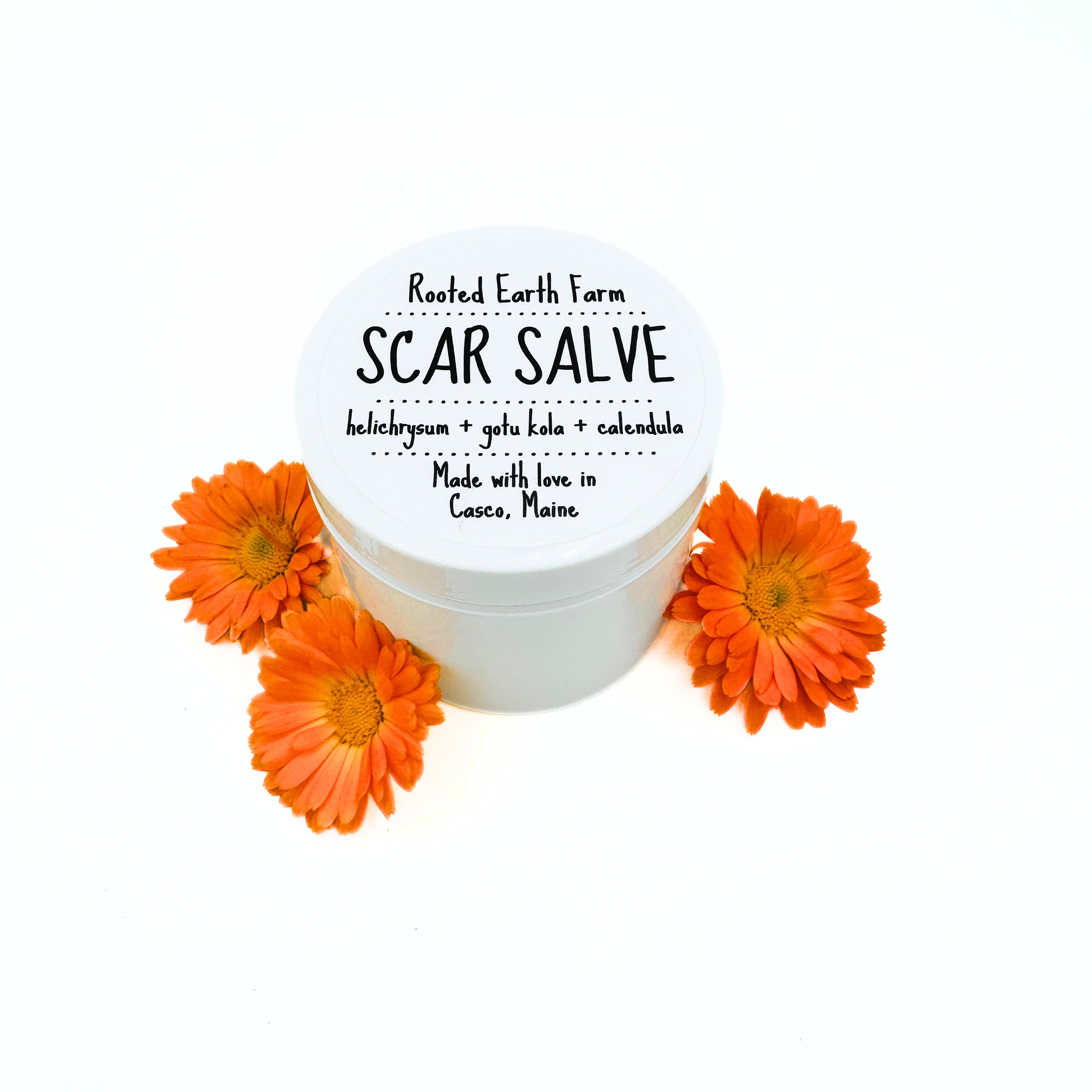 Scar Salve - Natural & Herbal-Infused – Rooted Earth Farm + Apothecary