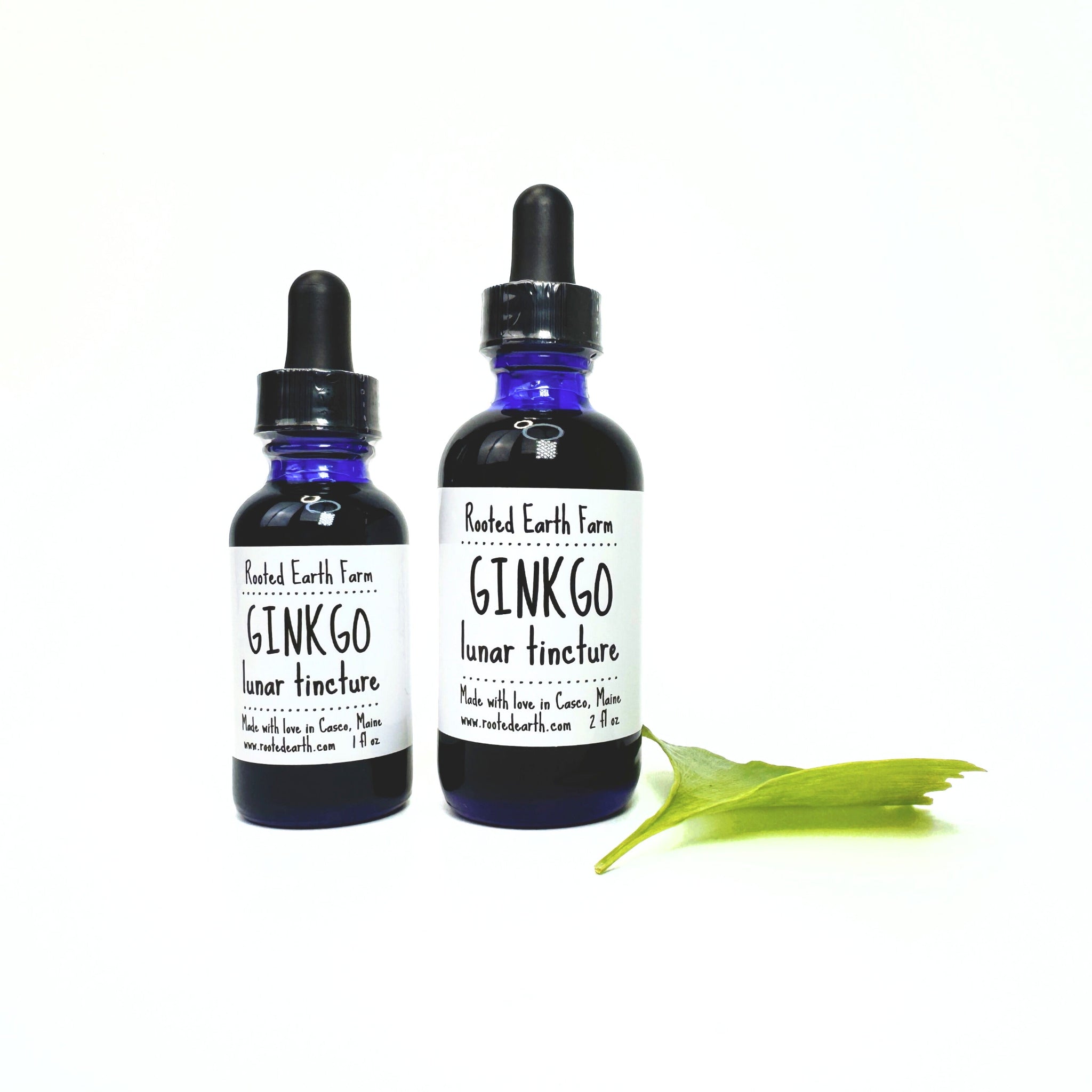 Ginkgo Tincture - Gluten-Free Extract – Rooted Earth Farm + Apothecary