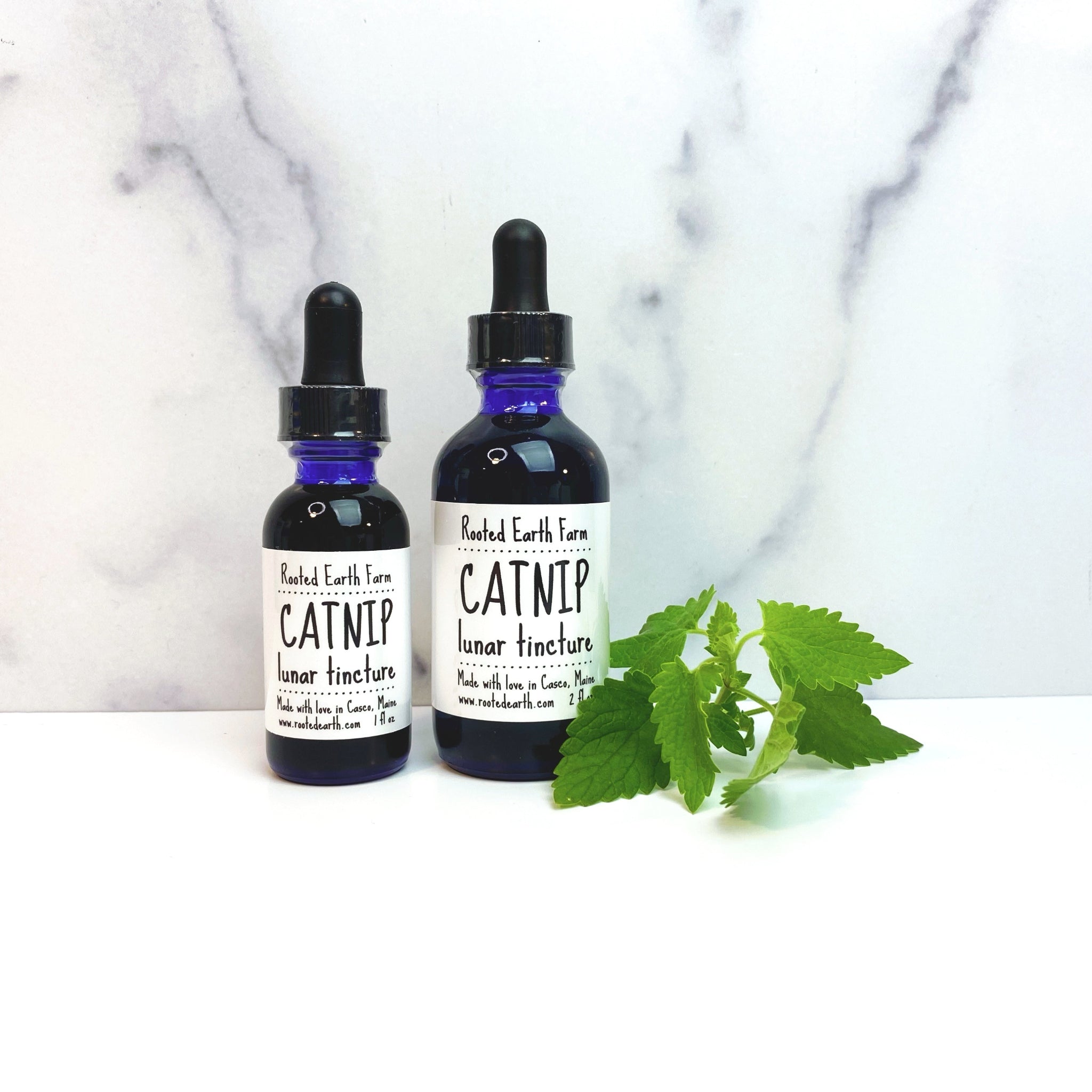 Catnip Tincture - Gluten-Free Extract – Rooted Earth Farm + Apothecary