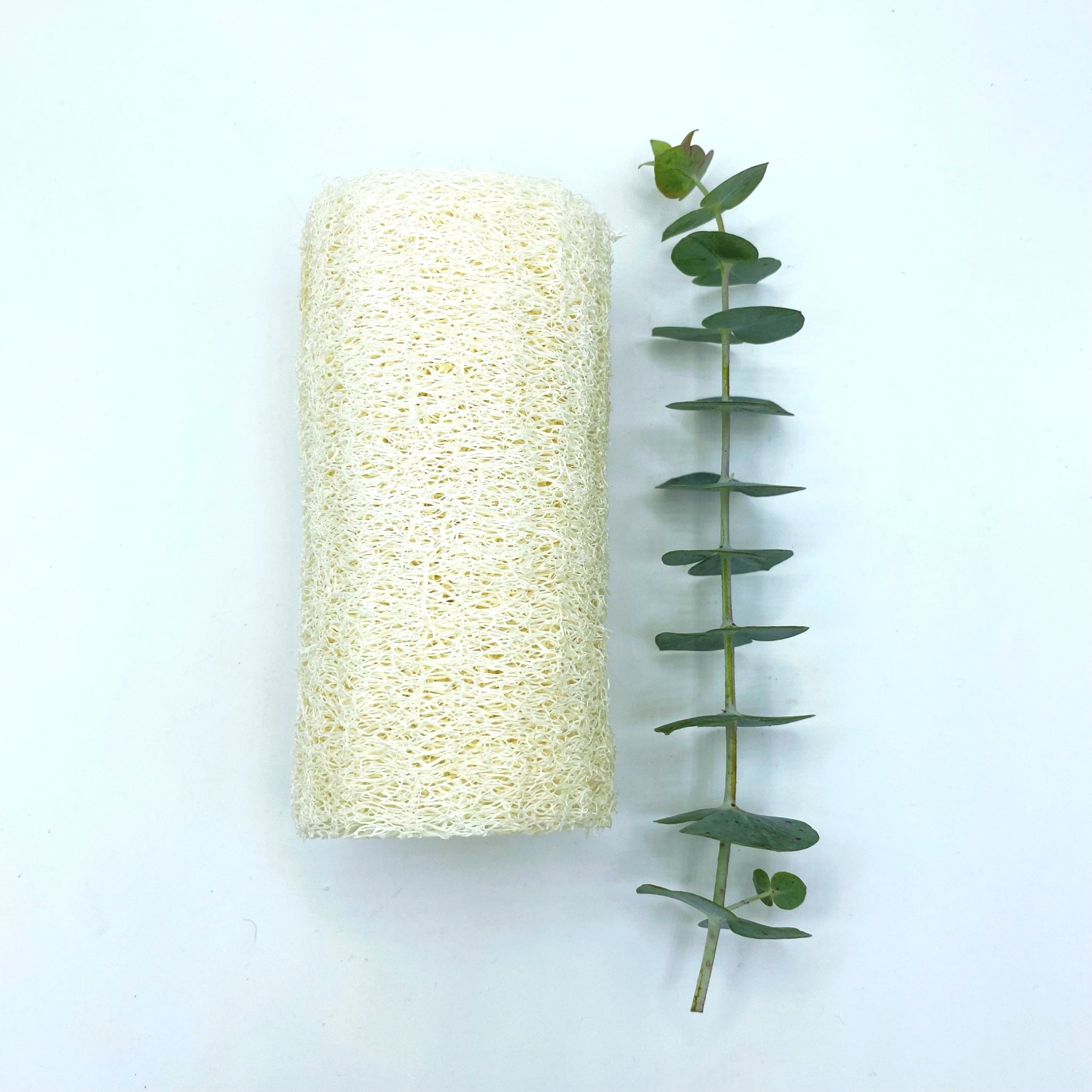 Loofah in the Raw – Rooted Earth Farm + Apothecary